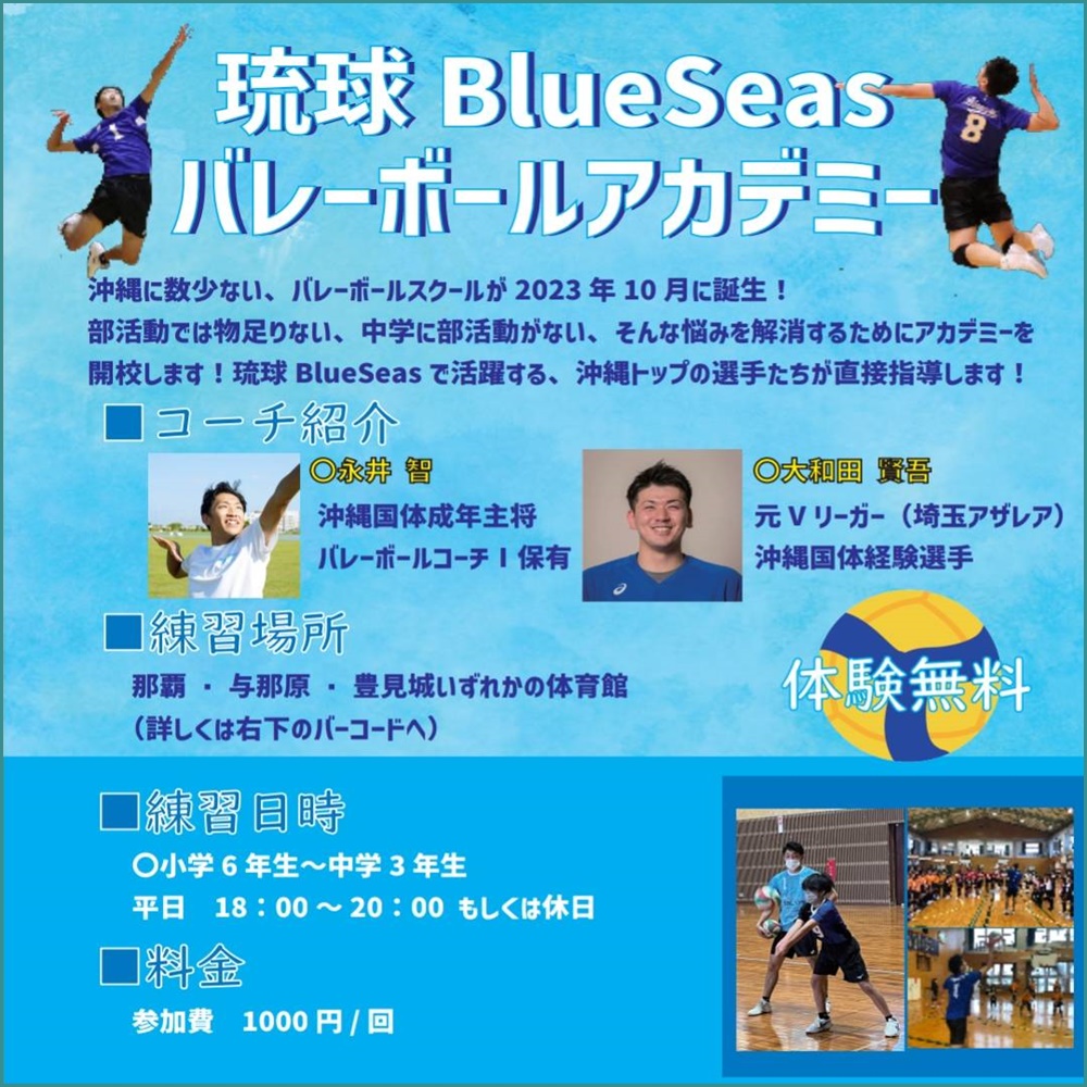 琉球ブルーシーズ